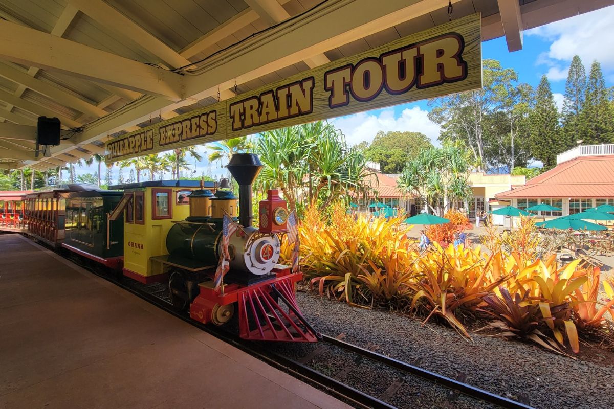5 Pineapple-Perfect Things to Do at Oahu's Dole Plantation