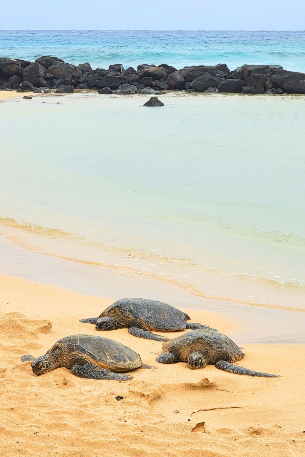 The Top 5 Fun Things to Do on Kauai (#1 is a must!) - Next Stop, Hawaii!