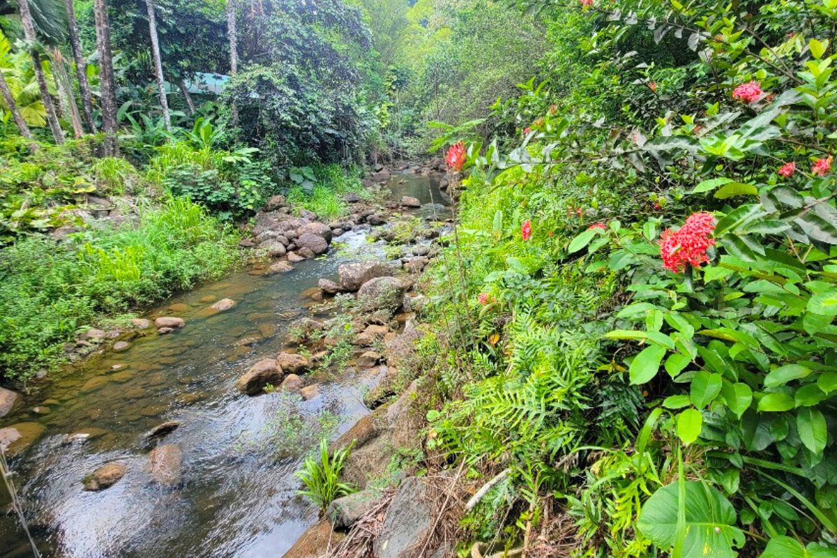 Hiking Waimea Falls Oahu: Hawaii's Easiest Waterfall Hike