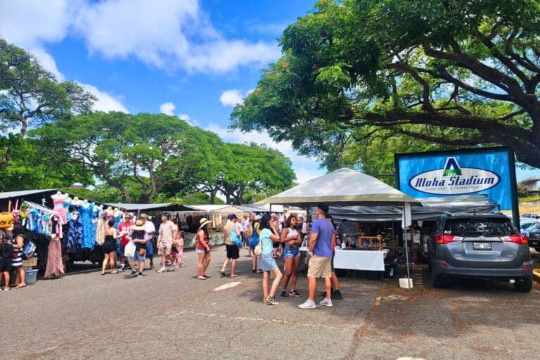 Hawaii On a Budget? Here Are 25 Awesome Free Things to Do on Oahu🌺