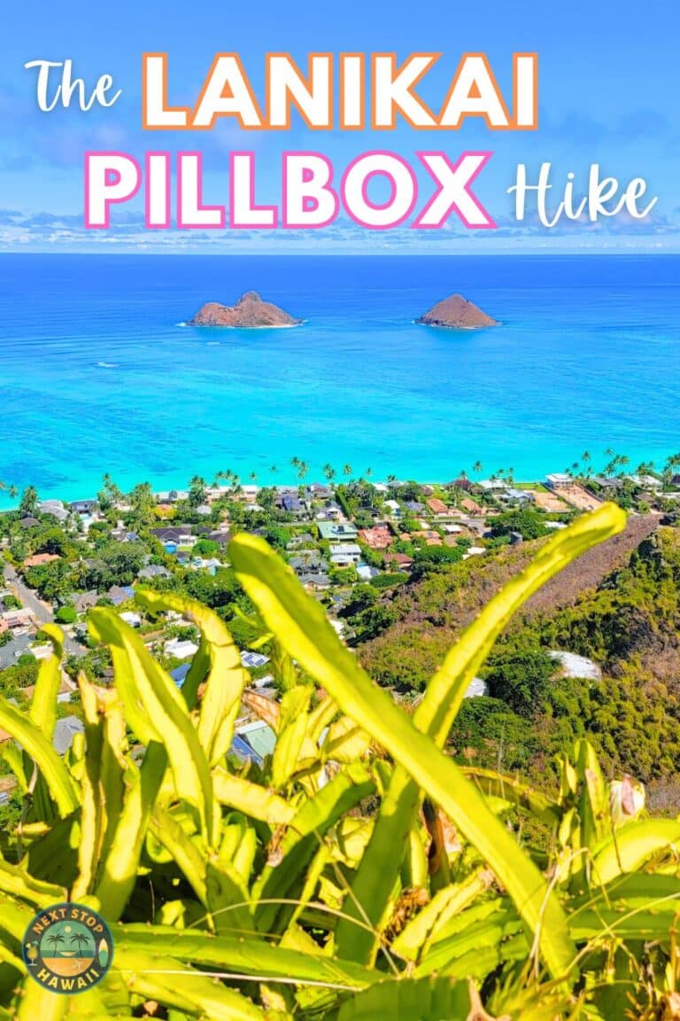 The Lanikai Pillbox Hike is One of Oahu's Most Beautiful Coastal Hikes🌺