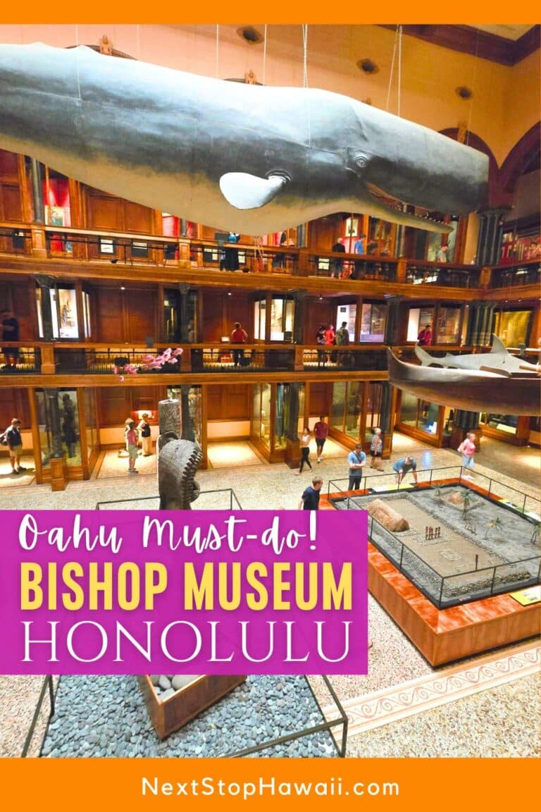 Oahu's Bishop Museum is a Cultural Gem in the Heart of Honolulu🏛️