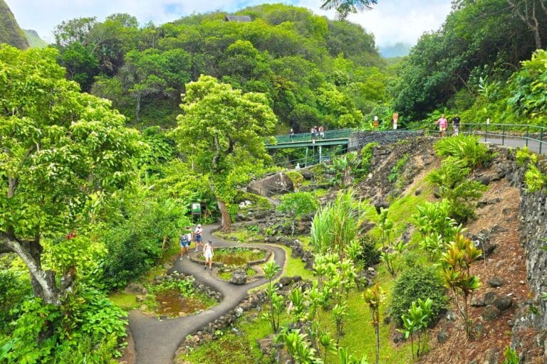 The Emerald Peaks of Iao Valley State Park Are a Must-Visit on Your ...