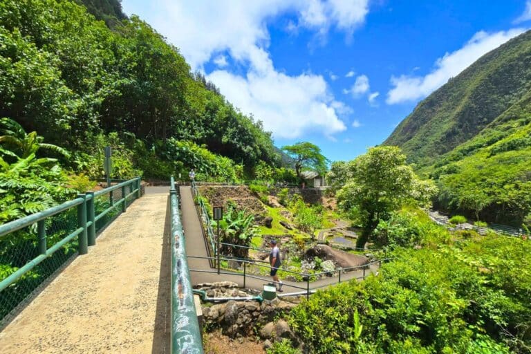 The Emerald Peaks of Iao Valley State Park Are a Must-Visit on Your ...