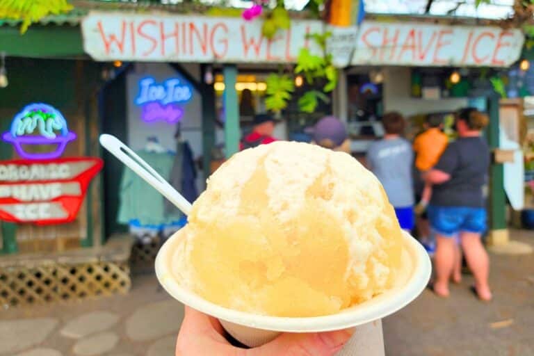 Bucket List Kauai: 40 Unforgettable Things to See, Do, and Eat! 🌈🌺🍧