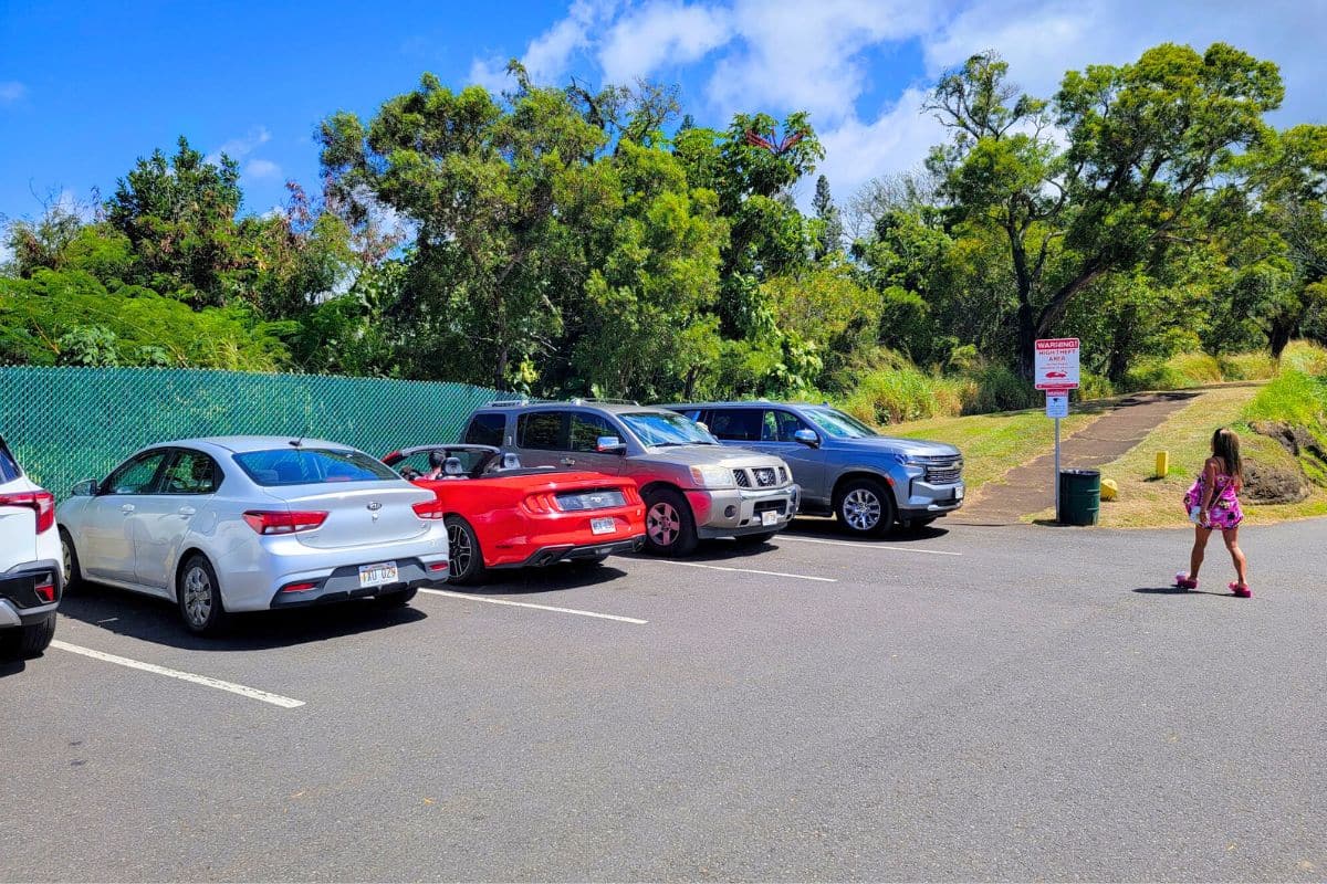 With Panoramic Views Over Honolulu, the Tantalus Lookout is an Oahu ...