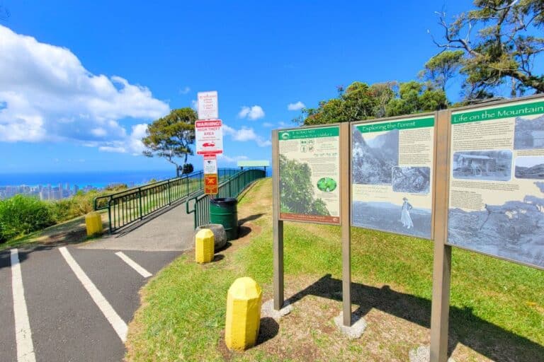 With Panoramic Views Over Honolulu, the Tantalus Lookout is an Oahu ...