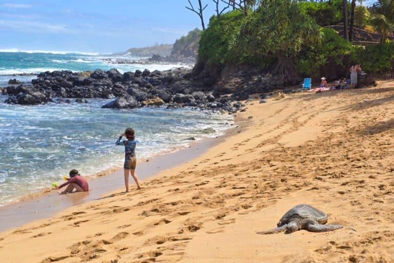 Maui Confidential: Is the Legendary Mama's Fish House Worth the Hype?